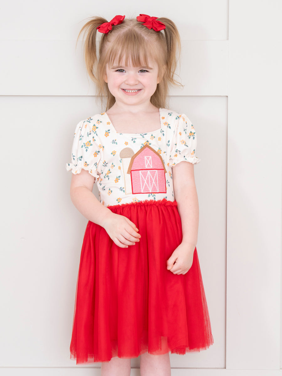 Embroidered Barn Tulle Dress - Marie Nicole Clothing